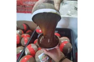 Traditional Food in Bohol: Must Try Bohol Delicacies | wetravelphilippines